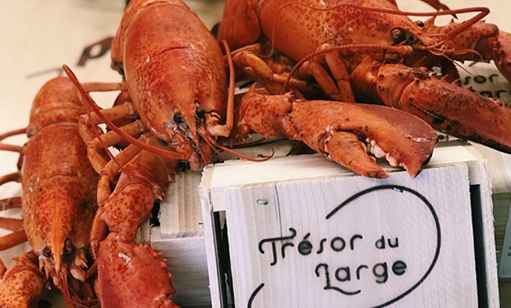 Nouvel arrivage de homards – Cultures du Large